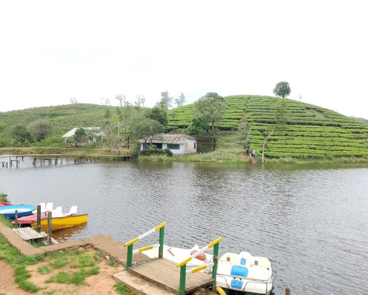 Vagamon Travel Guide: 10 Must-Visit Places & Best Things to Do (2025 ...